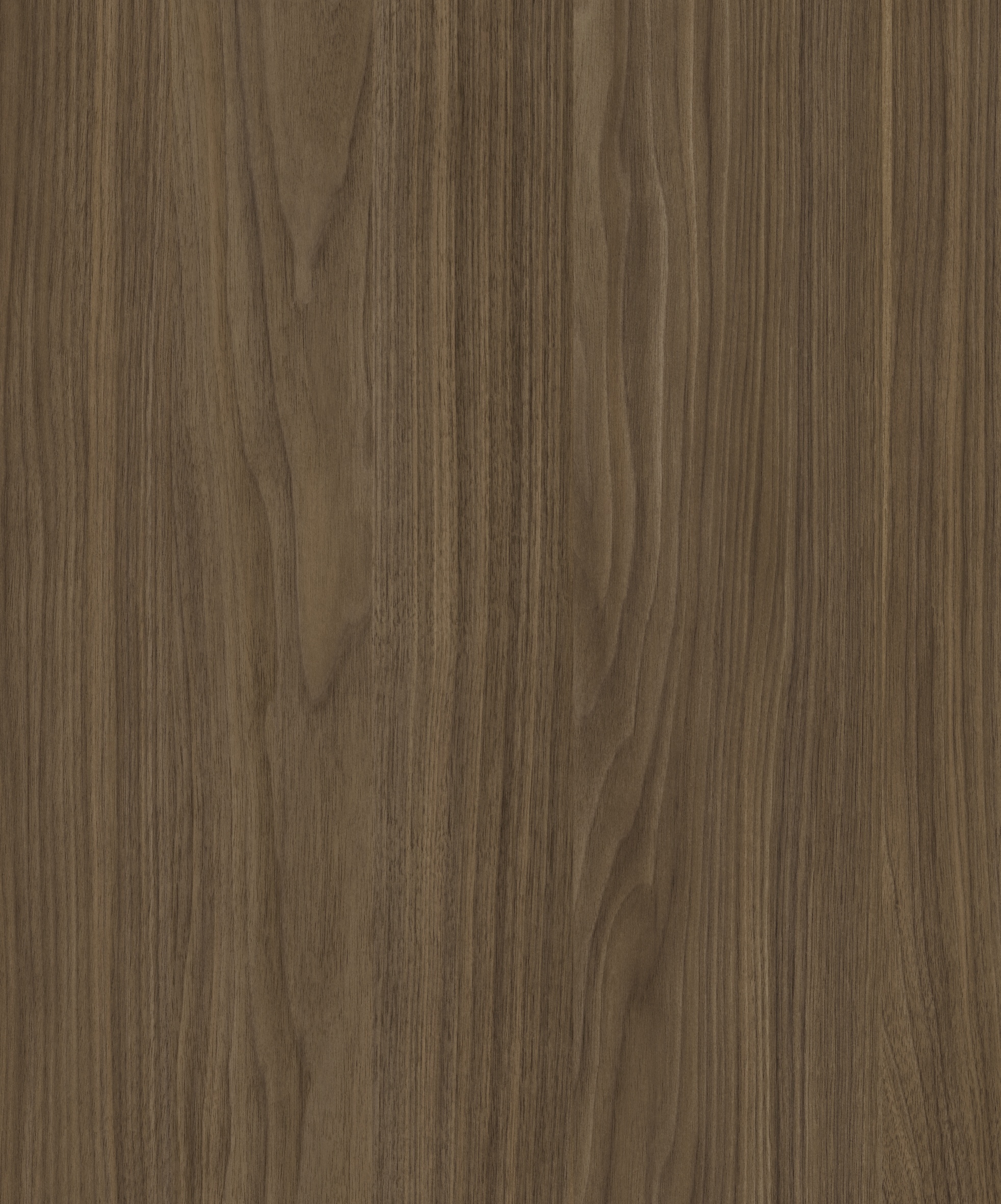 Italian Echo | SURFORMA