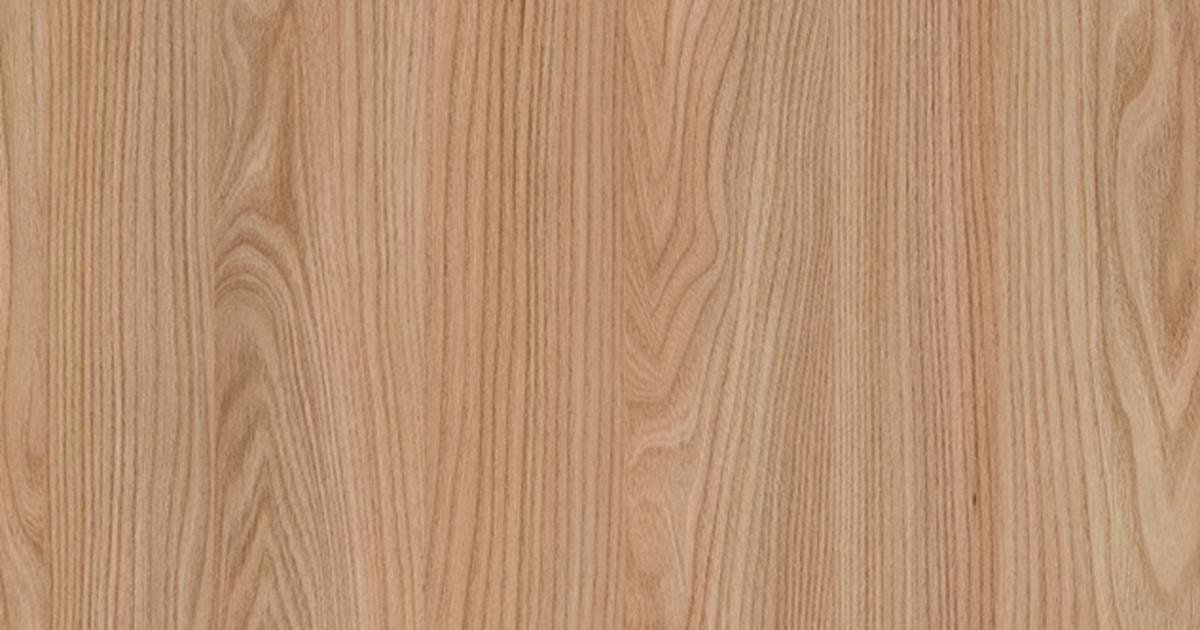 Elegant Elm | SURFORMA