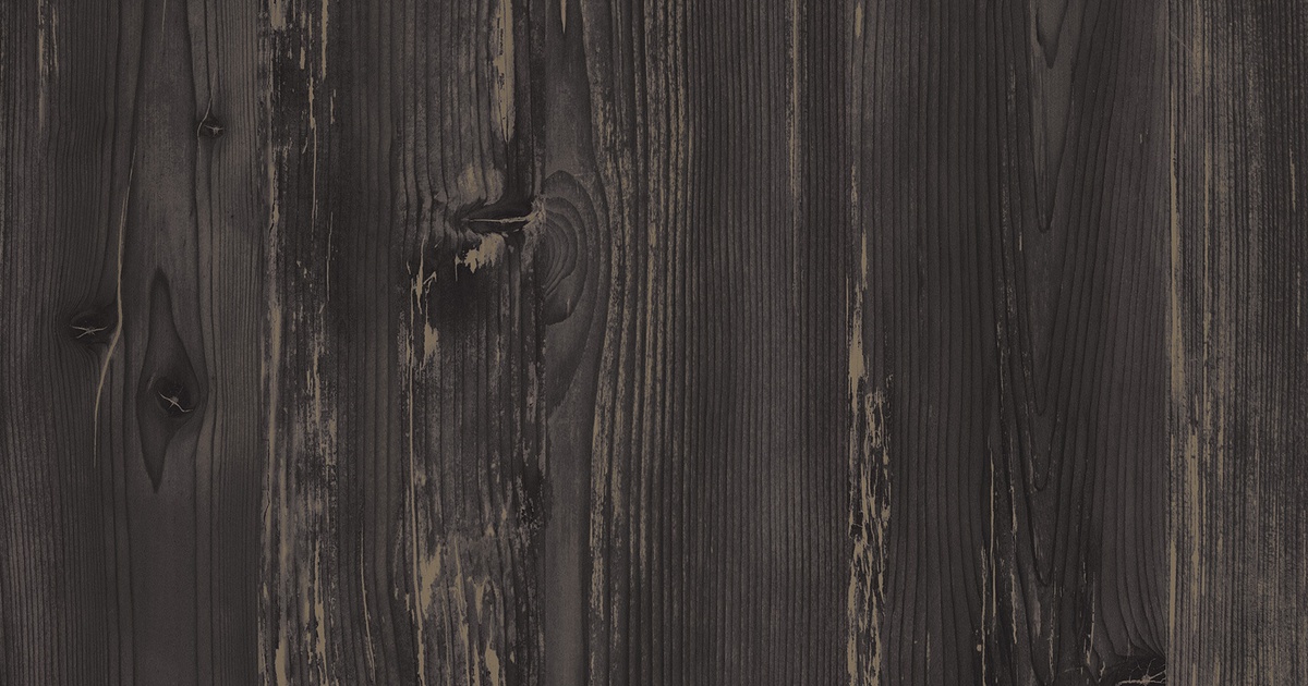 Golden Wood | SURFORMA