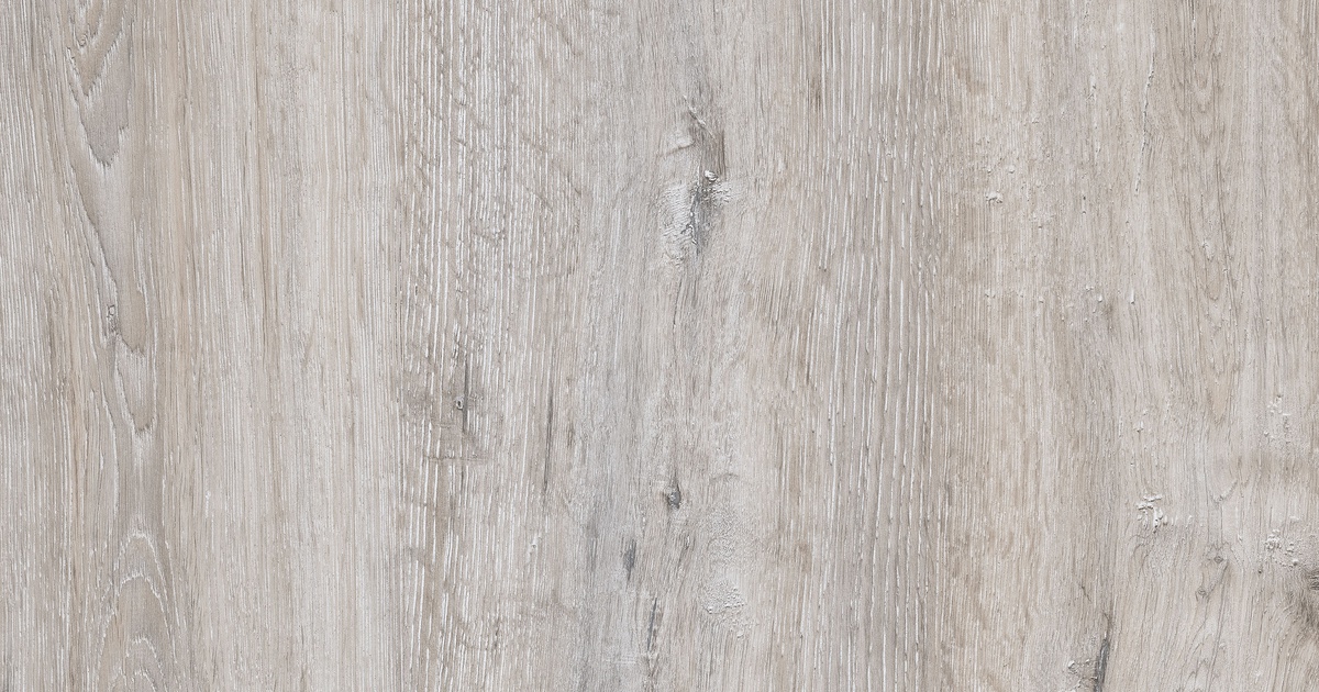 Oak Amundsen | SURFORMA