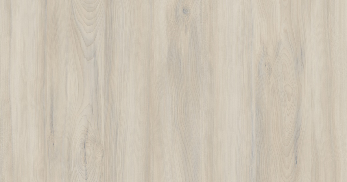 Aura Maple | SURFORMA