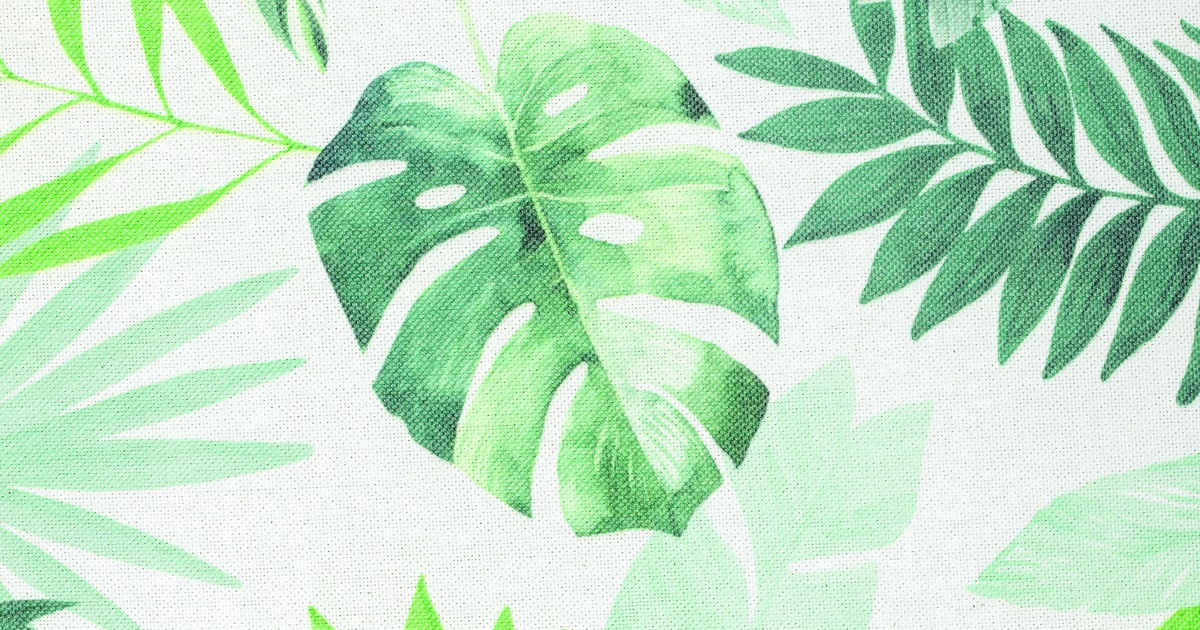 Big Leaves | SURFORMA